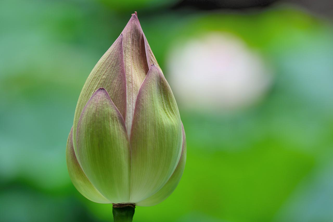 Humanity at Work Mastermind - Stand Out and Belong, with Carol Ross